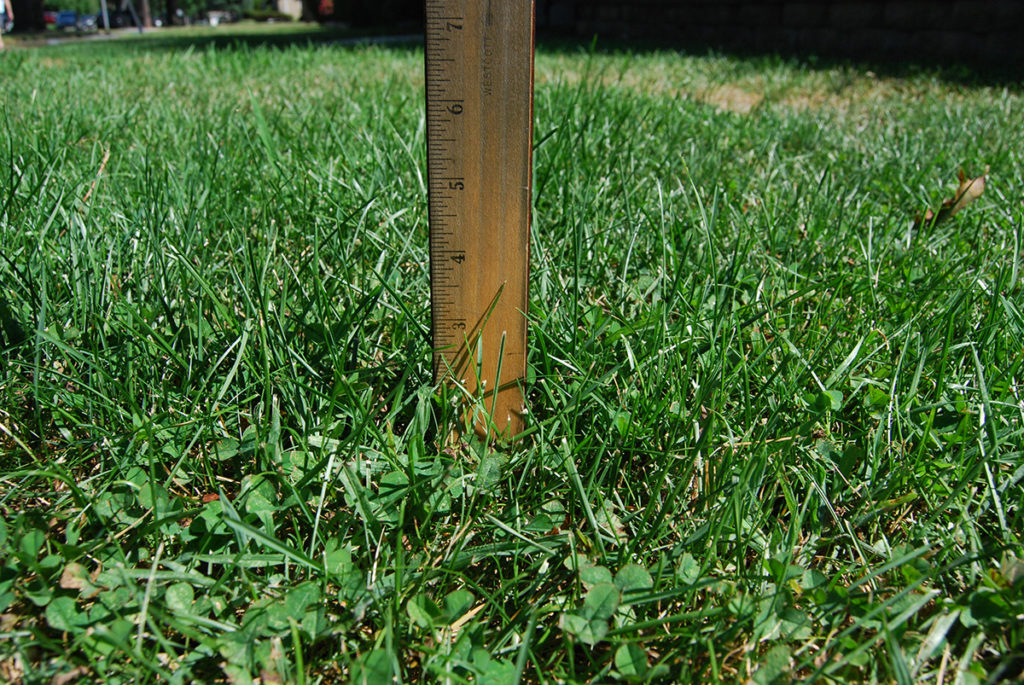 Mow Smart - Lawn to LakeLawn to Lake